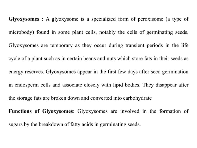 Plant cell; Overview.pptx | Biological Sciences | Science
