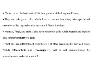 Plant cell; Overview.pptx