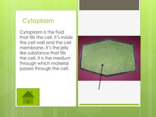 plant Cell PPT full chapter covered present | PPTX
