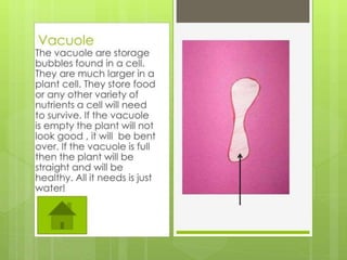 plant Cell PPT full chapter covered present | PPT