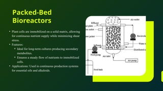 PLANT CELL REACTORS presenation PTC amity | PPTX