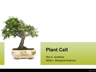Plant cell rex | PPT