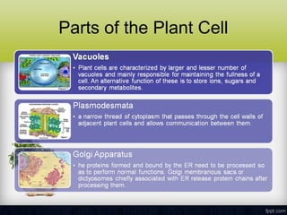 Plant cell rex | PPT