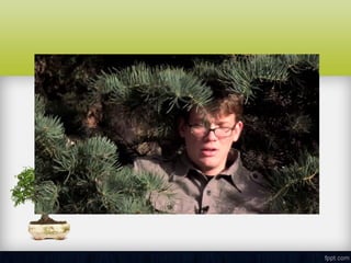 Plant cell rex | PPT