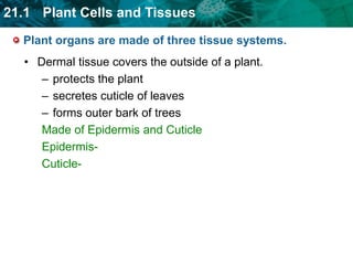 Plant_Cells_and_Tissues.ppt