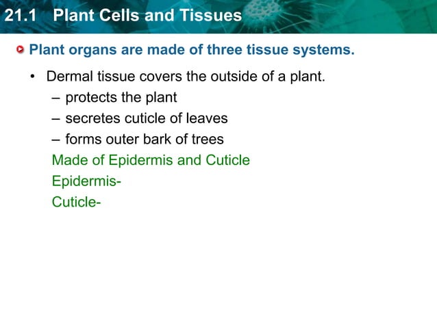 Plant_Cells_and_Tissues.ppt