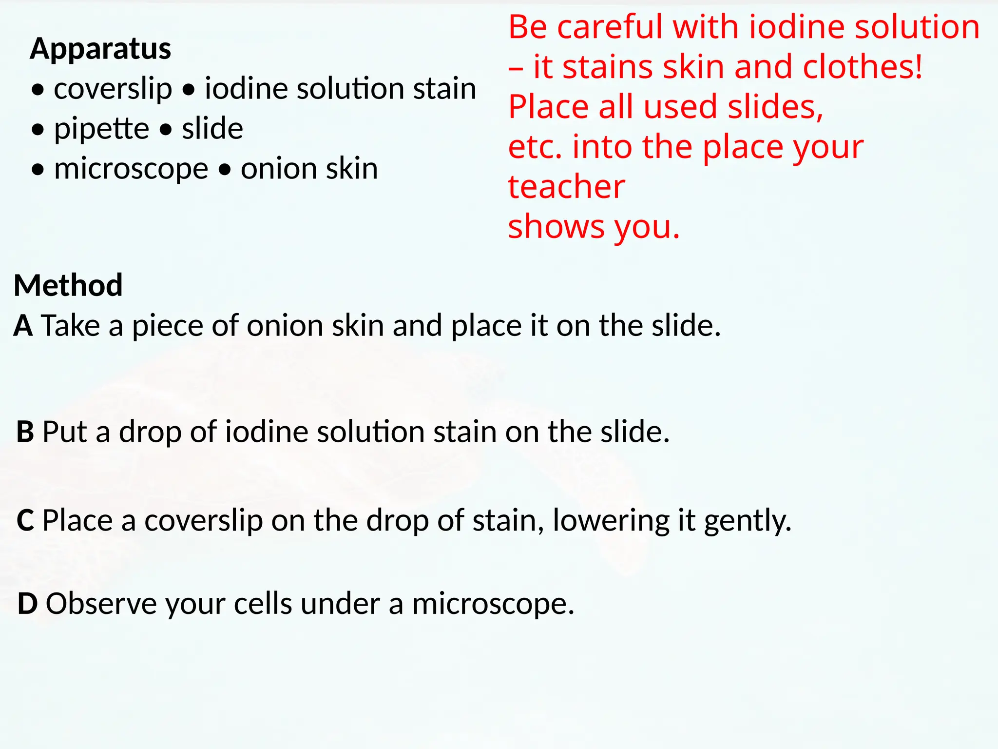 Plant cells CAL.pptx. This is a powerpoint | PPTX