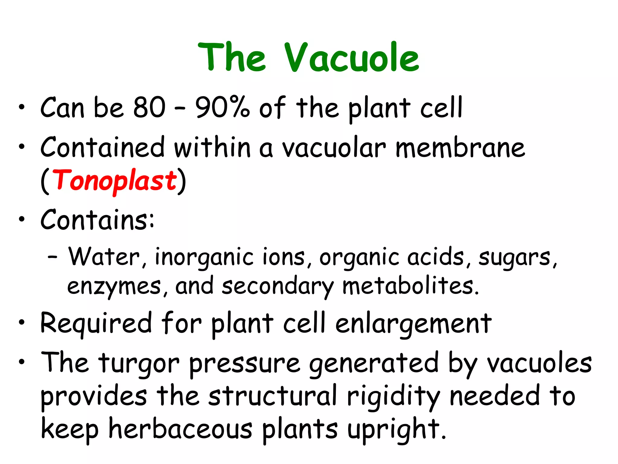 Plant Cell Structure and Function.pdf