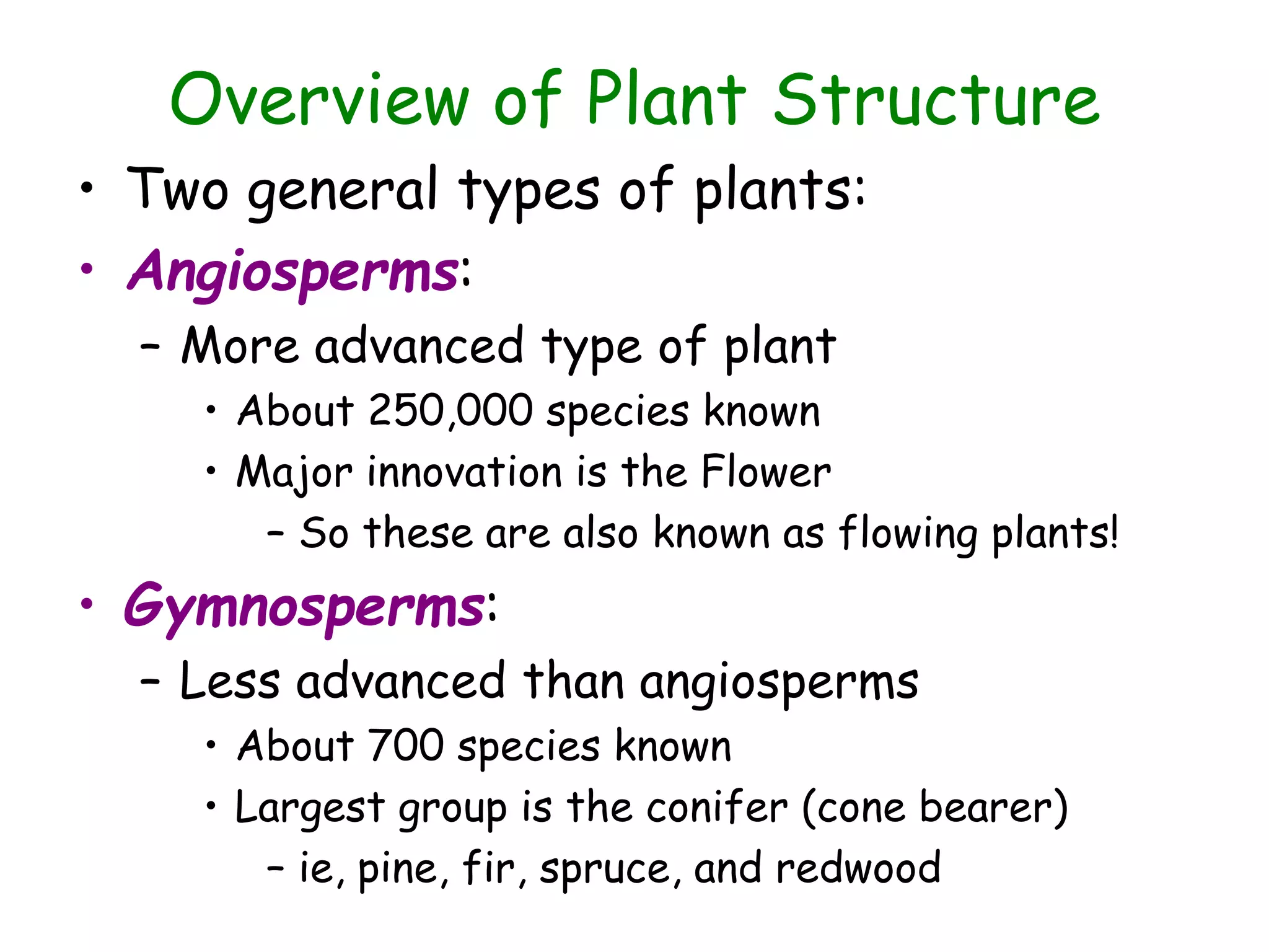 Plant Cell Structure and Function.pdf