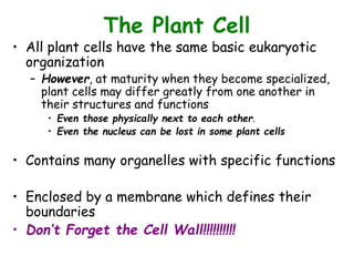 Plant Cell Structure and Function.pdf | Gardening | Home & Garden