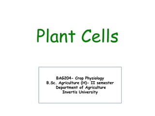 Plant Cell Structure and Function.pdf