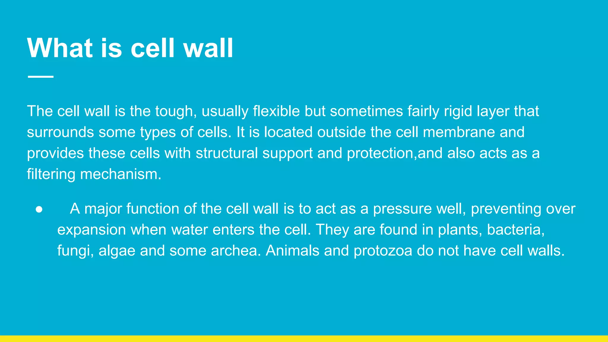 Plant cell wall.pptx
