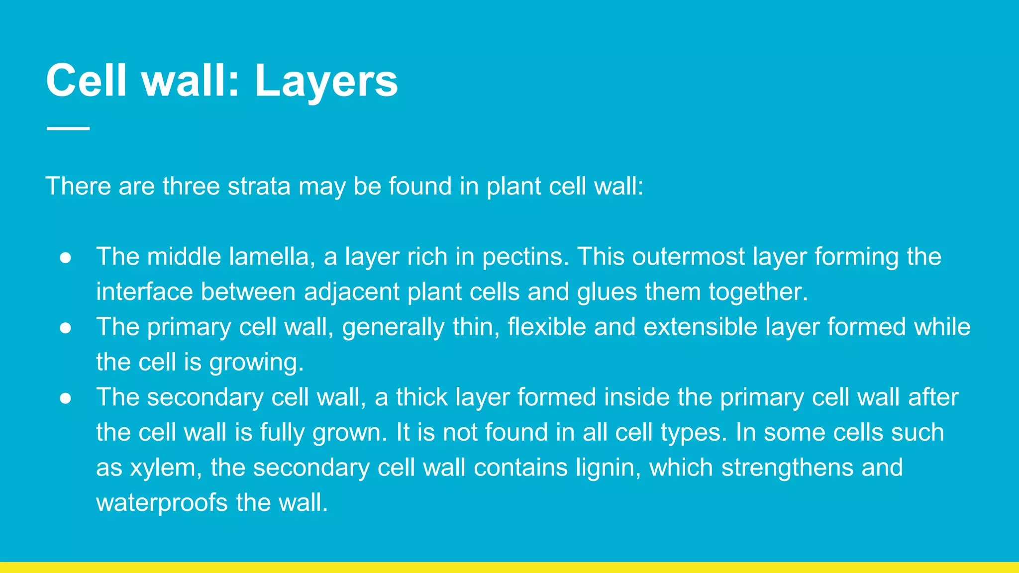 Plant cell wall.pptx
