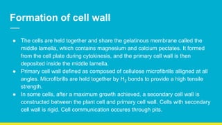 Plant cell wall.pptx