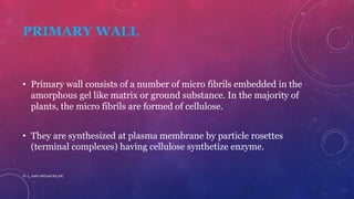 PLANT CELL WALL_STRUCTURE AND COMPOSITION | PDF