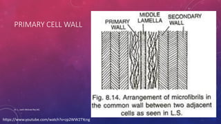 PLANT CELL WALL_STRUCTURE AND COMPOSITION | PDF