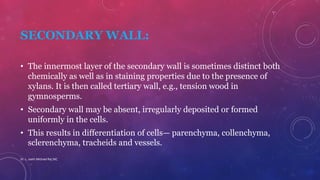 PLANT CELL WALL_STRUCTURE AND COMPOSITION | PDF
