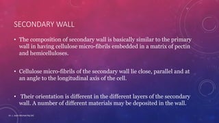 PLANT CELL WALL_STRUCTURE AND COMPOSITION | PDF
