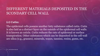 PLANT CELL WALL_STRUCTURE AND COMPOSITION | PDF