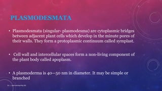 PLANT CELL WALL_STRUCTURE AND COMPOSITION | PPT