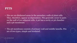 PLANT CELL WALL_STRUCTURE AND COMPOSITION | PDF