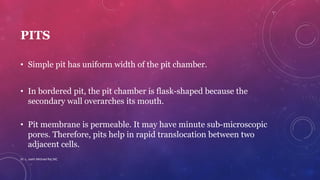 PLANT CELL WALL_STRUCTURE AND COMPOSITION | PDF