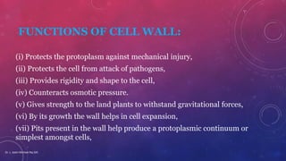 PLANT CELL WALL_STRUCTURE AND COMPOSITION | PDF