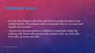 PLANT CELL WALL_STRUCTURE AND COMPOSITION | PDF