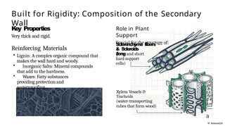 Plant_Cell_Wall_Architecture CELL STRUCTURE | PPTX