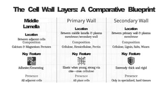 Plant_Cell_Wall_Architecture CELL STRUCTURE | PPTX