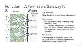 Plant_Cell_Wall_Architecture CELL STRUCTURE | PPTX
