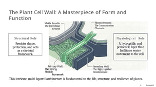Plant_Cell_Wall_Architecture CELL STRUCTURE | PPTX