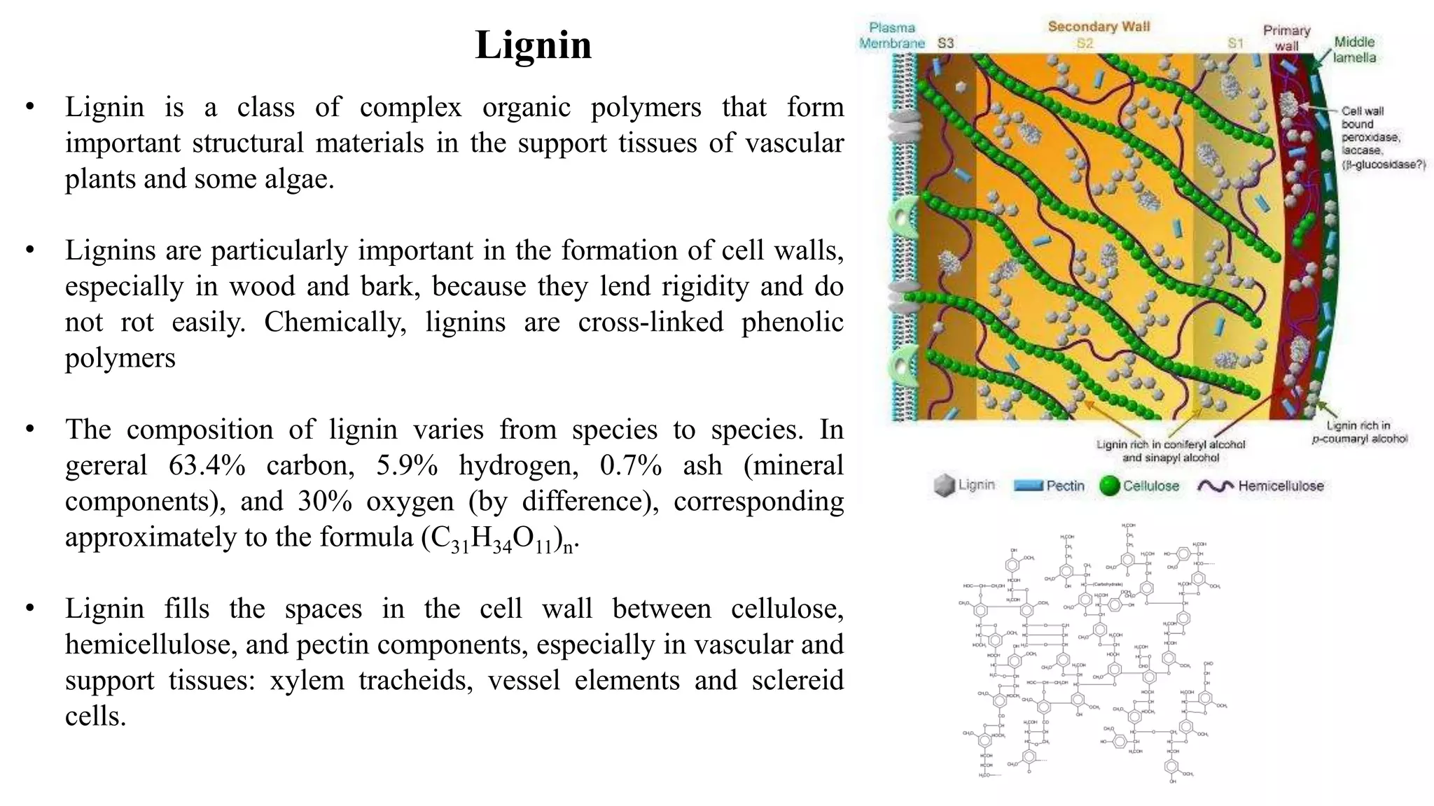 Plant cell wall components | PPT