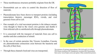 Plant cell wall components | PPT
