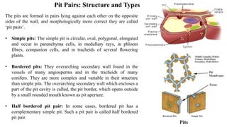 Plant cell wall components | PPT