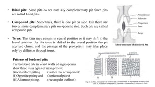 Plant cell wall components | PPT