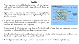 Plant cell wall components | PPT