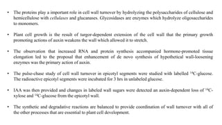 Plant cell wall components | PPT