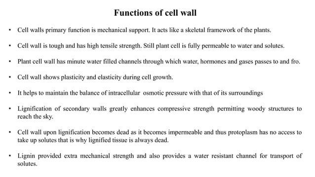 Plant cell wall components | PPT