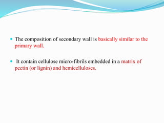 Plant cell wall structure and composition | PPTX