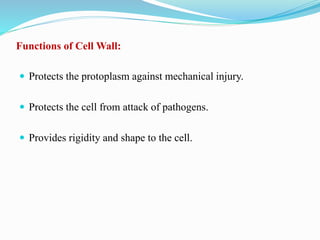 Plant cell wall structure and composition | PPTX