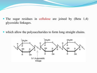 Plant cell wall structure and composition | PPTX