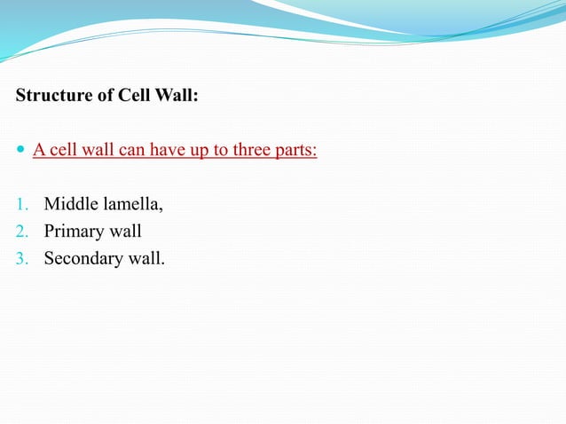 Plant cell wall structure and composition | PPTX