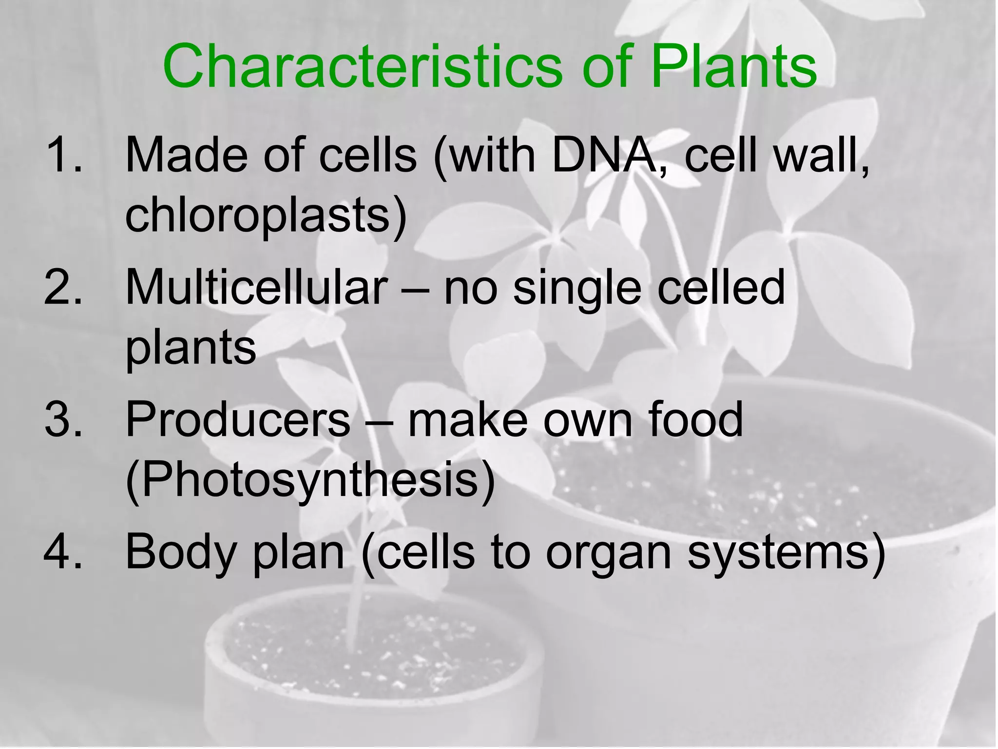 Plant characteristics | PPT