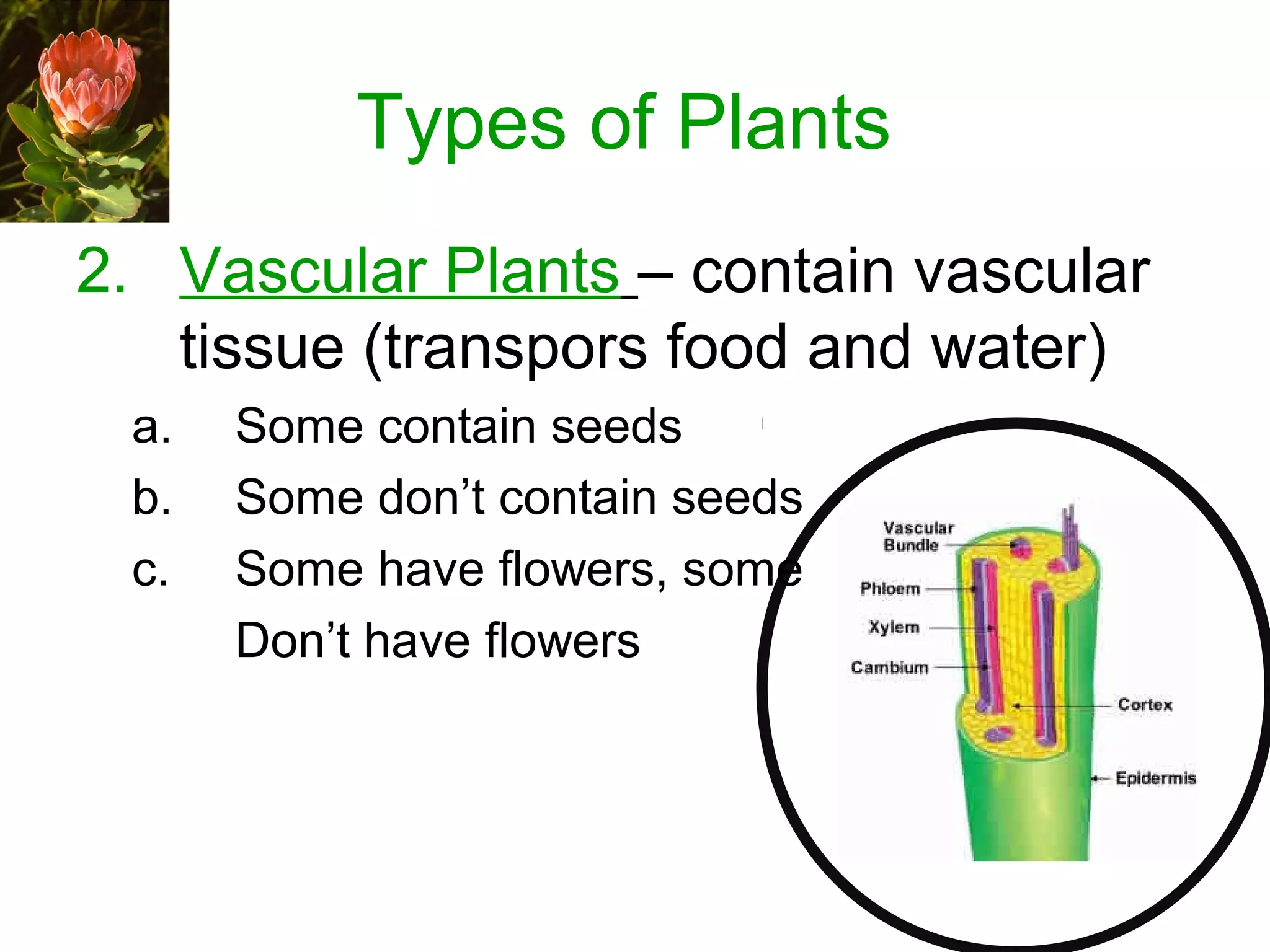 Plant characteristics | PPT