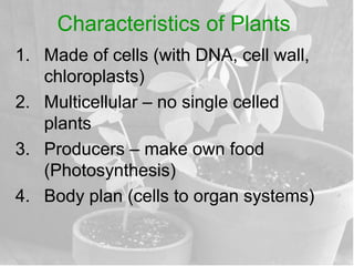 Plant characteristics | PPT | Gardening | Home & Garden