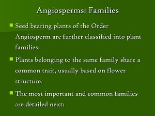 Plant classification | PPT