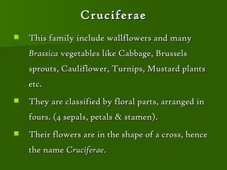 Plant classification | PPT