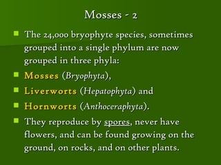 Plant classification | PPT