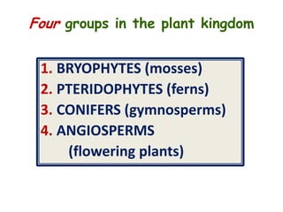 Classification Of Plants Kingdom